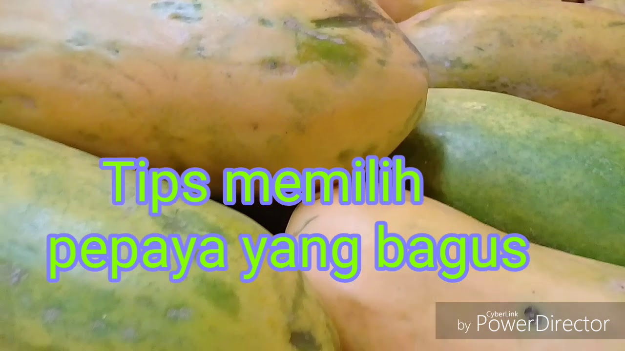 Memes Buah Pepaya