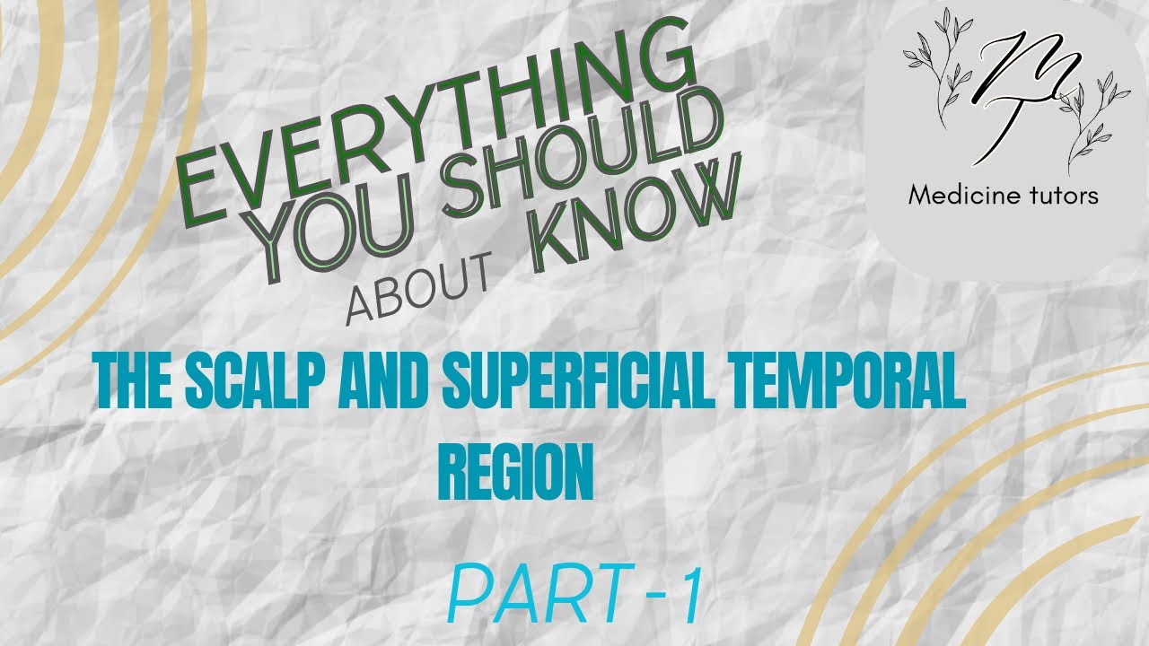 Scalp and supra temporal region | part 1 | bdchaurasia | uhs - YouTube