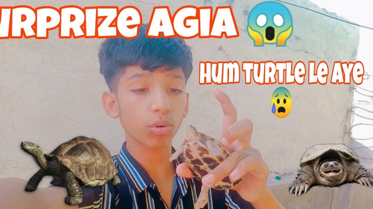 Surprise agia Hum turtle le aye😱😰 - YouTube
