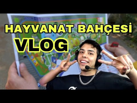 Hayvanat Bahçesi Vlog. Yılanlar,Aslanlar,Fil,Örümcek ve İzmir | Enes Akgün