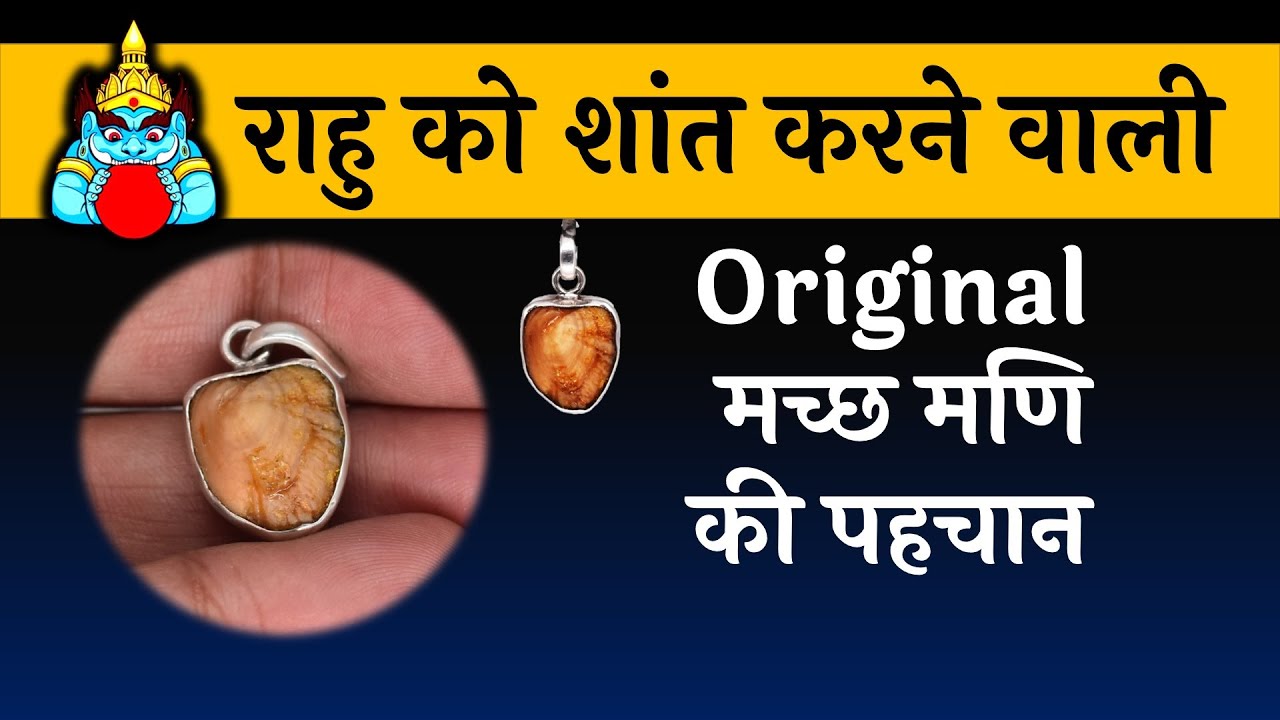 Original मच्छ मणि | राहु को शांत करने वाली मच्छ मणि | Rahu ke upay ...
