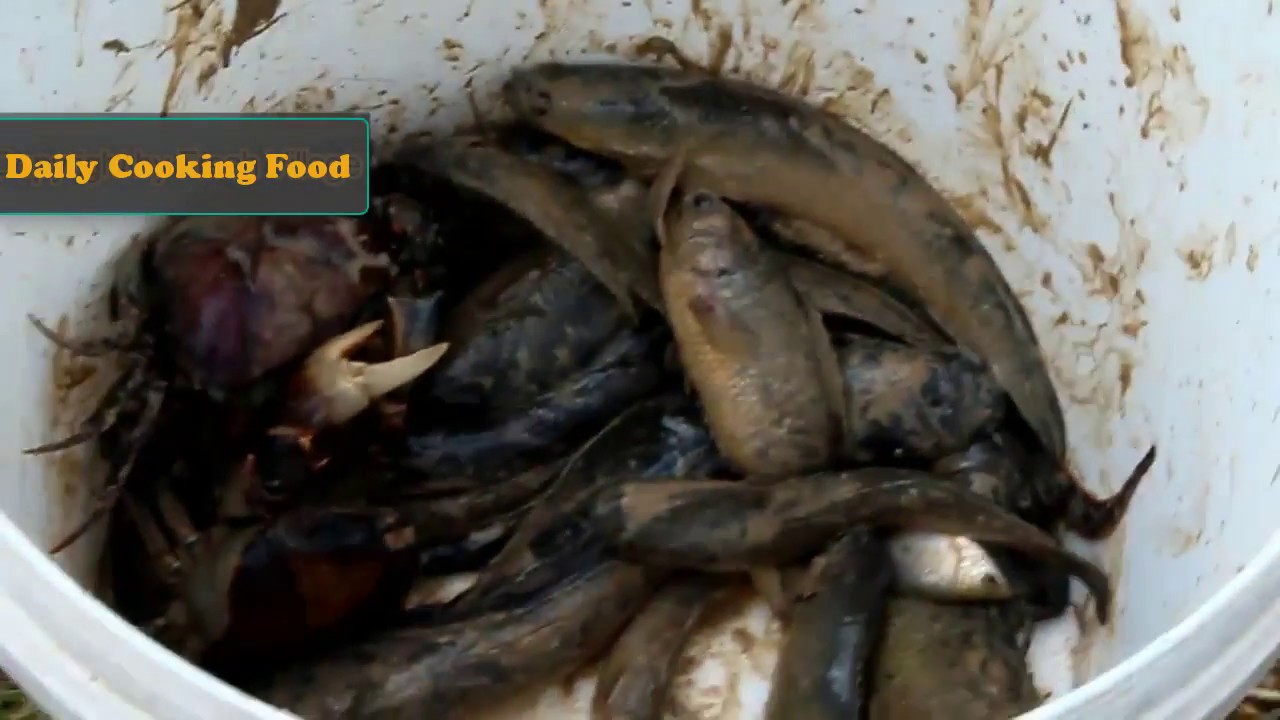 Amazing Boy Deep Hole Fishing - How To Fishing and Catch Fish Videos ...