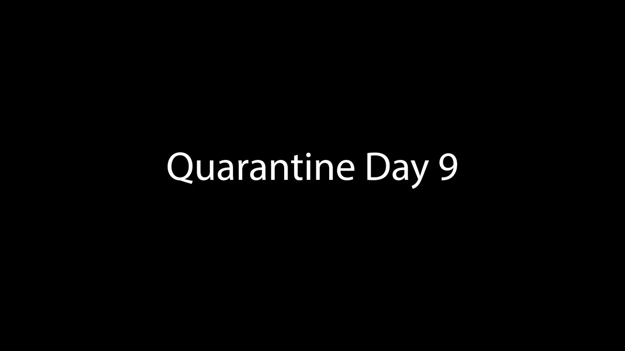 Quarantine Day 9 - YouTube