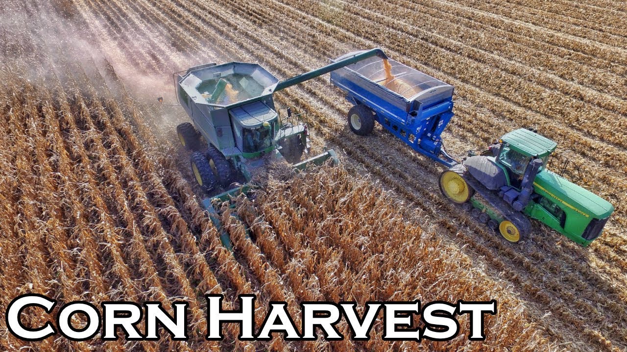 CORN HARVEST 2016 | WERNER FARMS - YouTube
