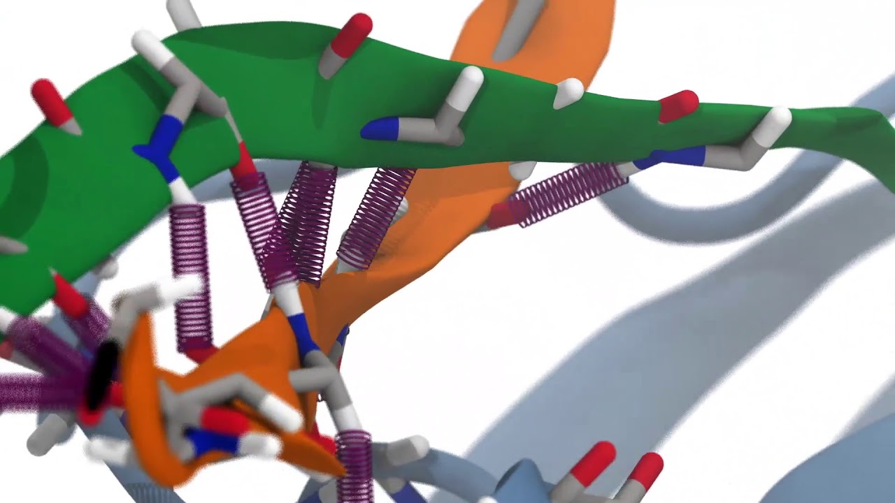 How bacteria stick like superglue to humans - YouTube