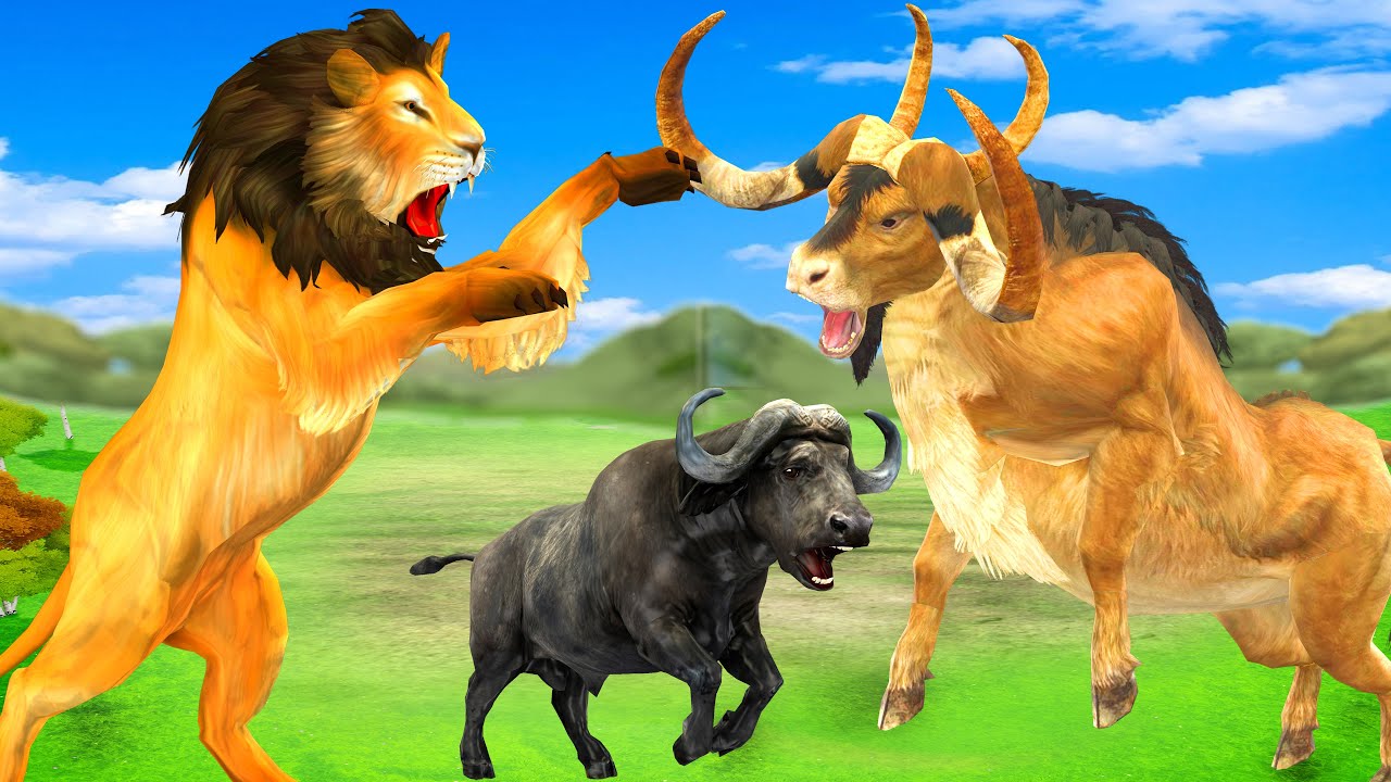 African Elephant Vs 2 Giant Tigers Lion Attack Cow, 3 Buffalo Saved by ...