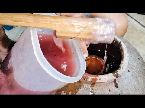 harvesting Tapuey, Rice wine - YouTube