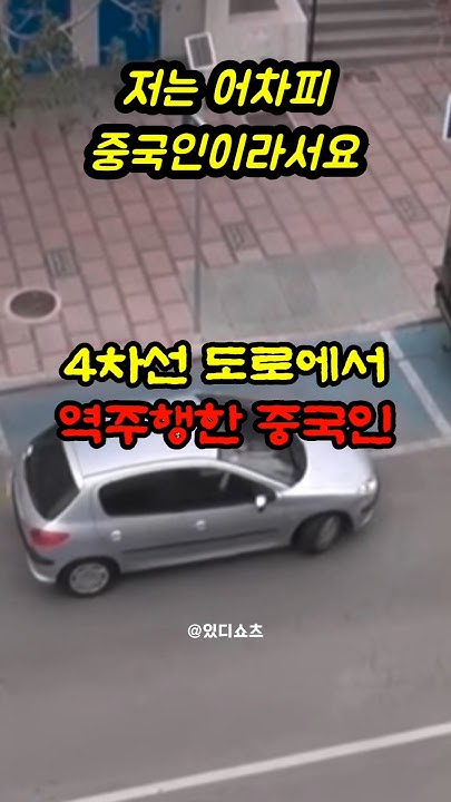 고속도로 역주행하다 걸린 운전자의 충격 정체 사연 Youtube