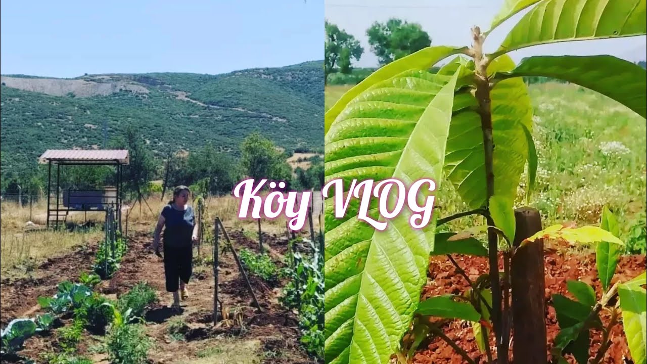 Denizli Köy Vlog hobi bahçem Ege de bir Köy Garden Tour - YouTube