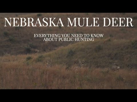 Nebraska Mule Deer Hunting! Everything you need to know. - YouTube