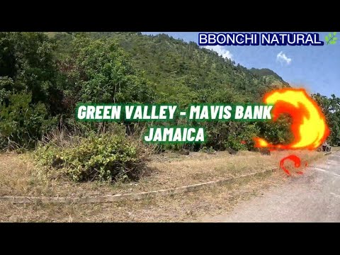 Green Valley, Hot & Cold Water, Mavis Bank Jamaica - YouTube