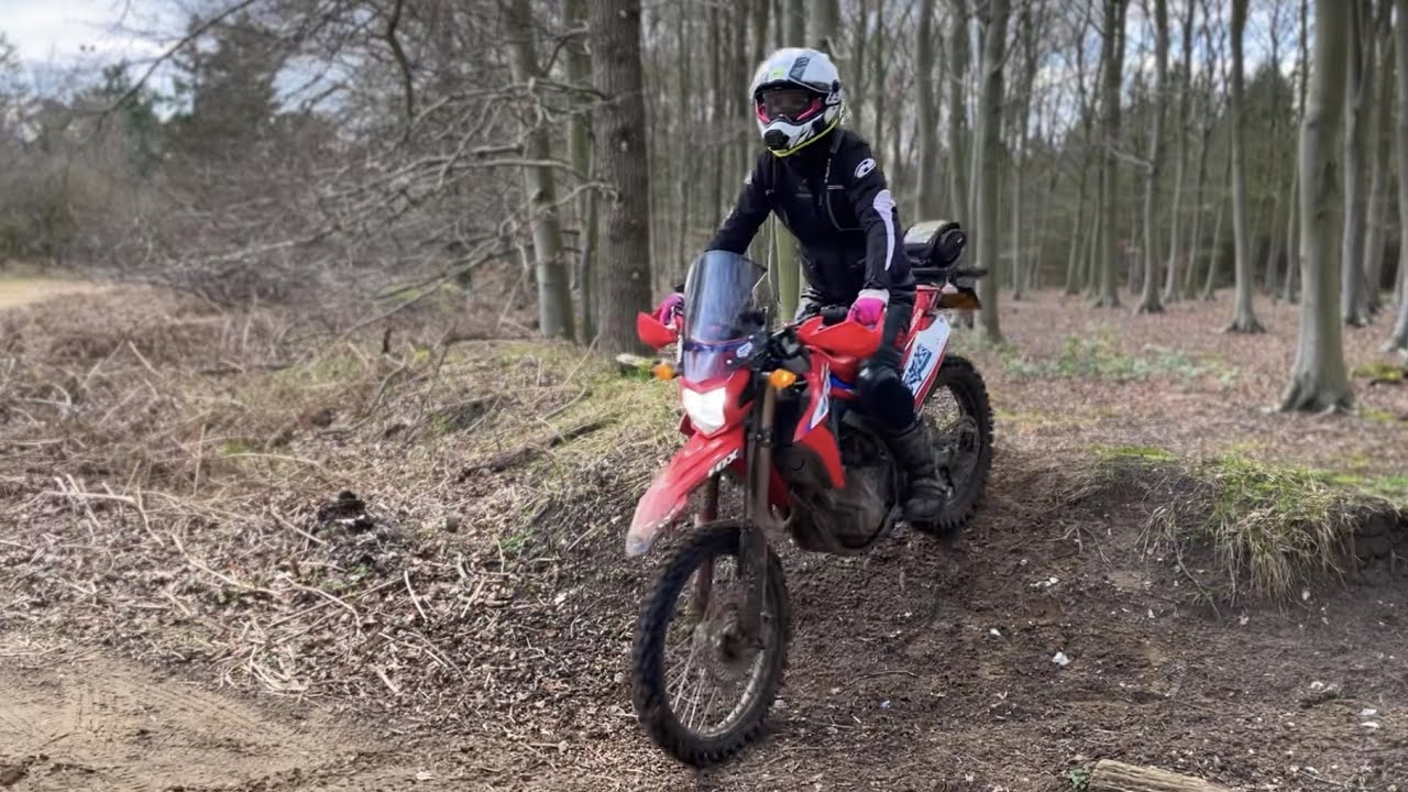 IM LOVING my CRF 300L & BLACK WIDOW! Forest Ride! HD 1080p - YouTube
