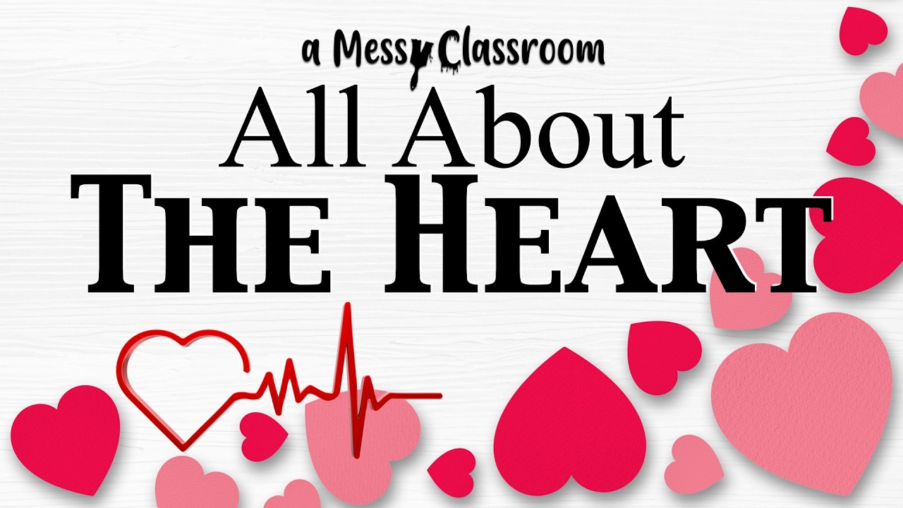 The Incredible Human Heart: How It Works, Fun Facts & Why It’s So ...