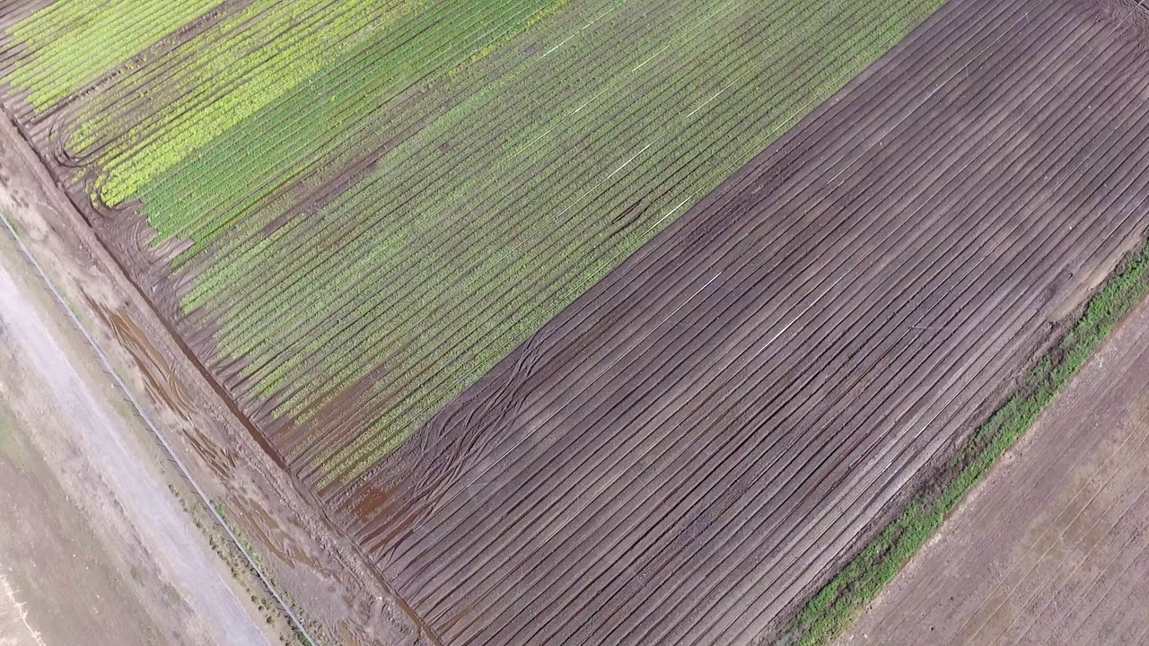 Hemet Model Masters Simpson Field 2-23-2019 - YouTube