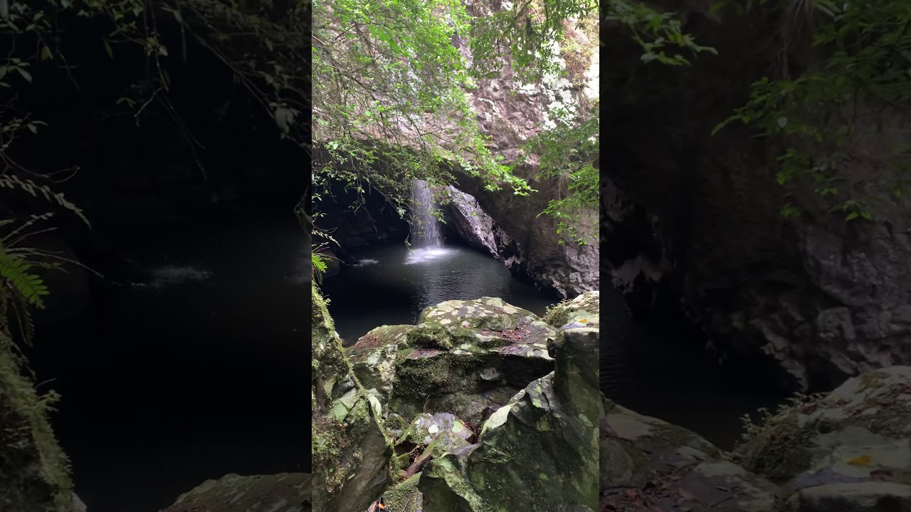 Glow worm caves,, Springbrook - YouTube