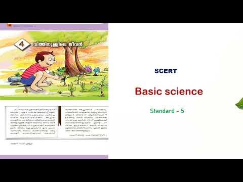 SCERT || Basic science || std 5 || chapter 4 - YouTube