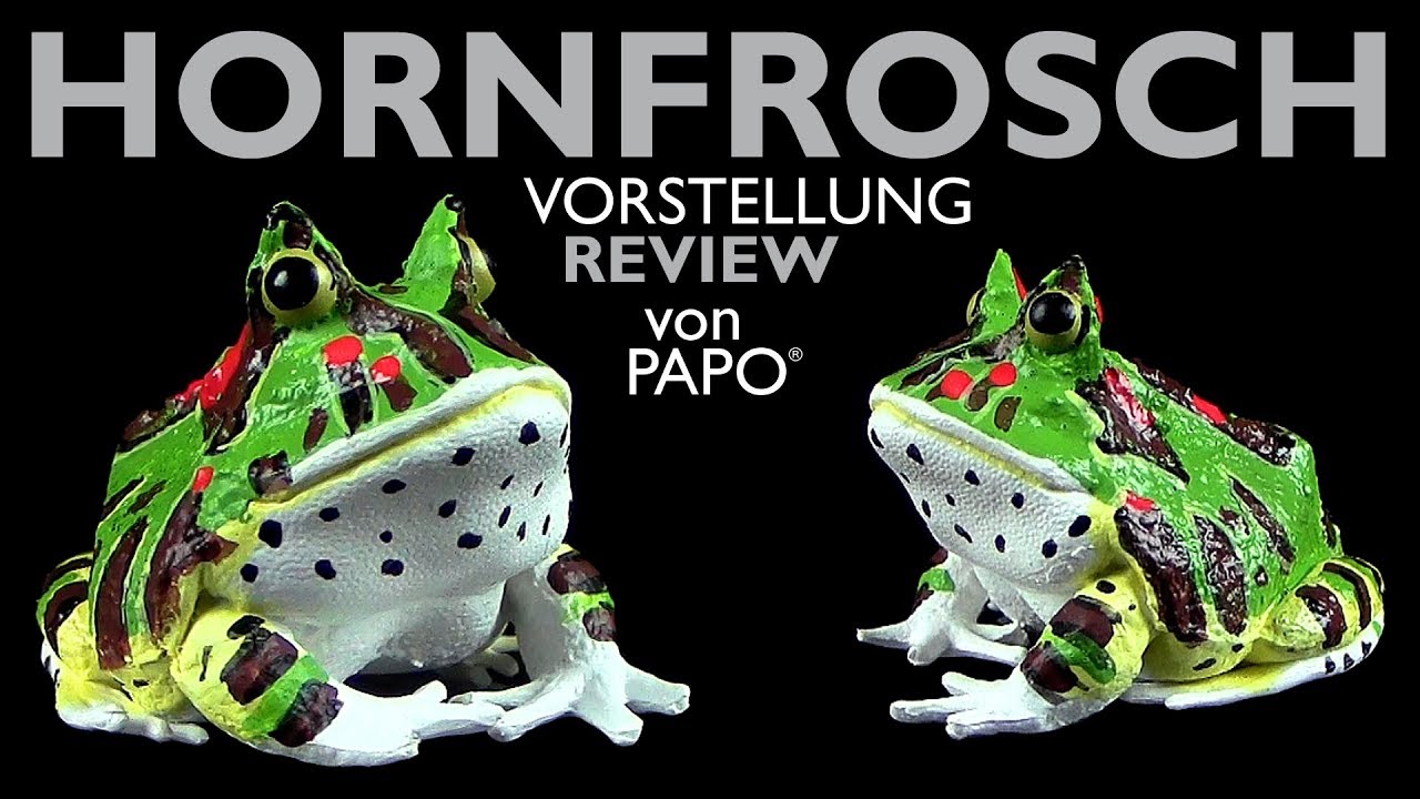 Papo ® Hornfrosch / Horned Frog - Vorstellung & Review - YouTube