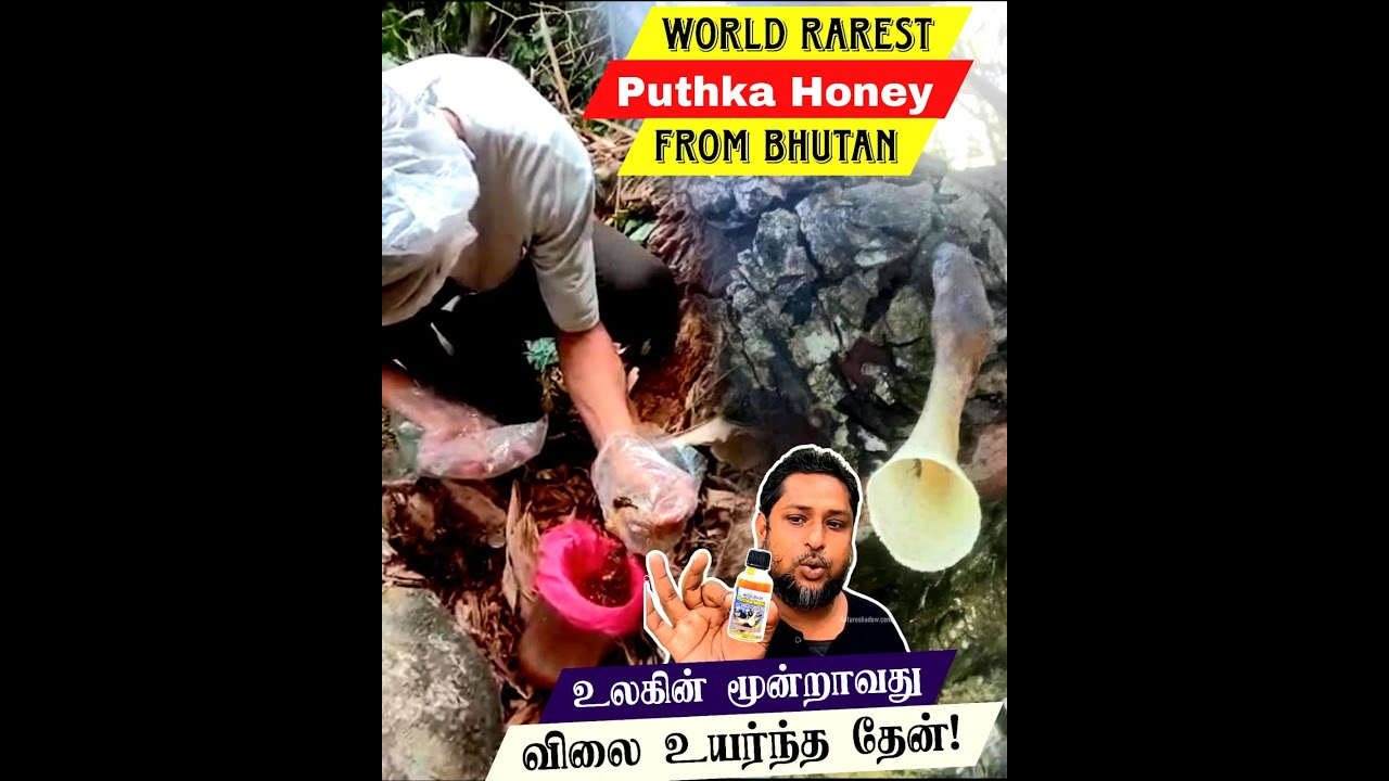 World's third costliest honey but First rarest honey - Bhutan's Puthka ...