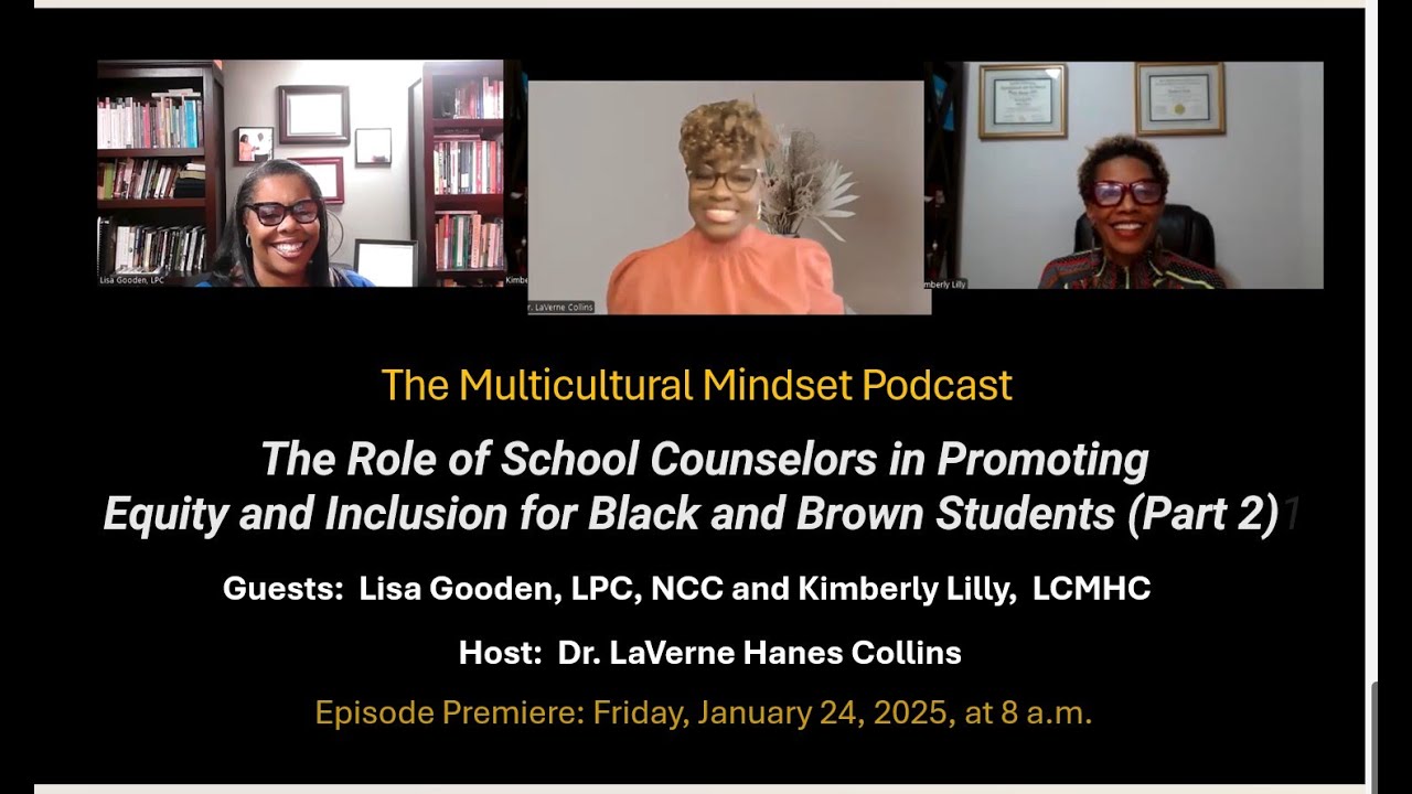 The Role of School Counselors in Promoting Equity and Inclusion for ...