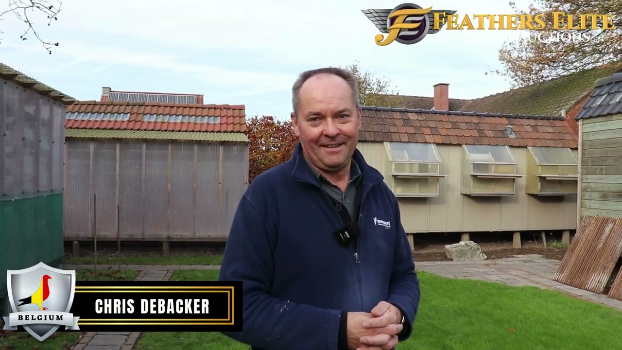 FEPA-CHRIS DEBACKER BELGIUM PIGEON LOFT TOUR - YouTube