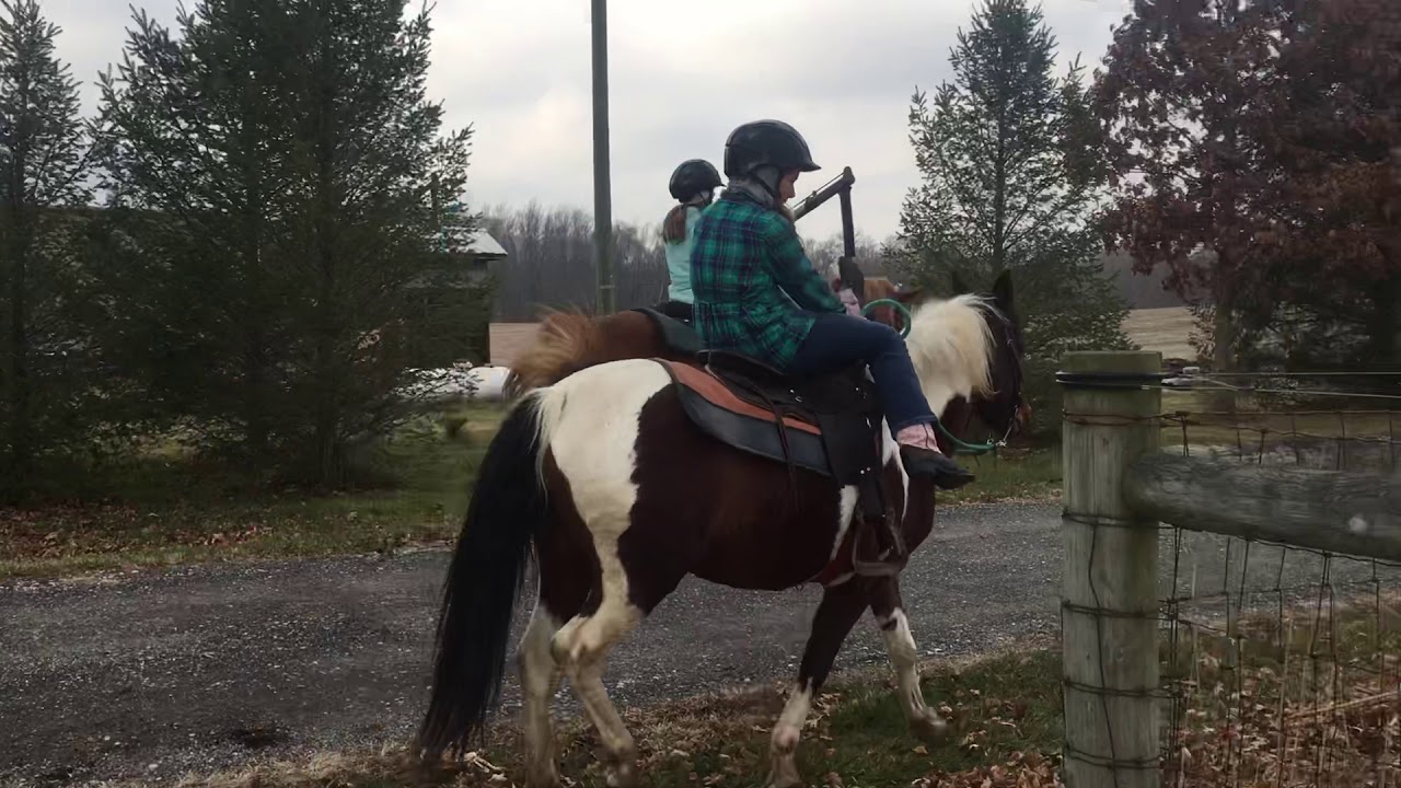 Patches & Brandy - YouTube