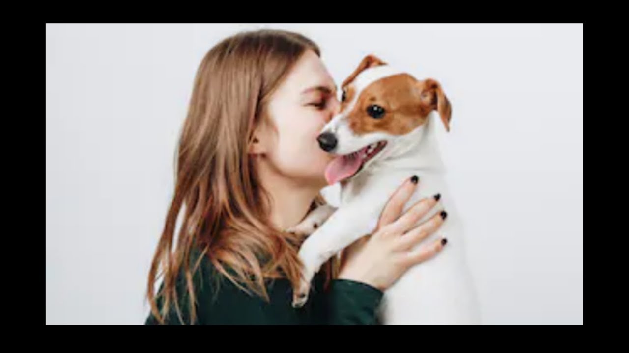 Responsible Dog Ownership Explained (by science) - YouTube