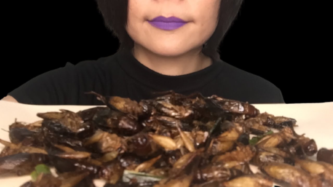 ASMR FRIED EDIBLE INSECTS GRASSHOPPER MUKBANG CRUNCHY EATING SOUNDS ...