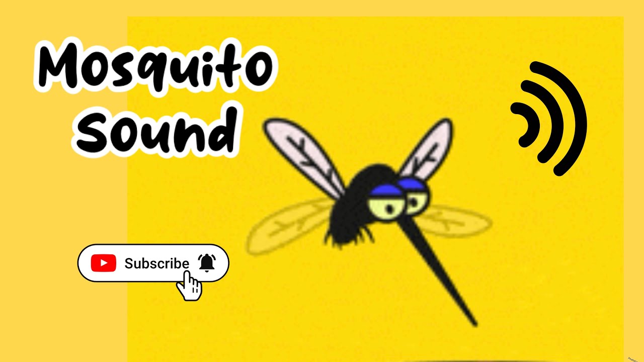 Mosquito Sound #mosquito #sound #insects - YouTube