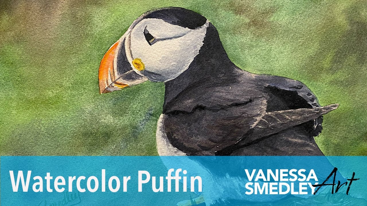 How to paint a puffin in watercolor - Vanessa Smedley Art #watercolor # ...