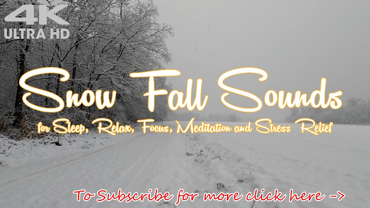 4K Quiet Snow Fall Sounds, Gloomy Snow storm, White Noise, sleep, focus ...