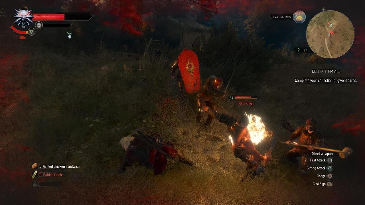 The Witcher 3: Wild Hunt order of the flaming rose armor location part ...