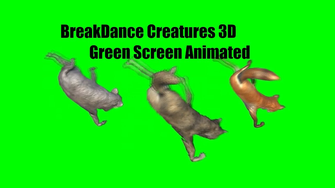 Animals Do Breakdance Green Screen Animated 3D - YouTube
