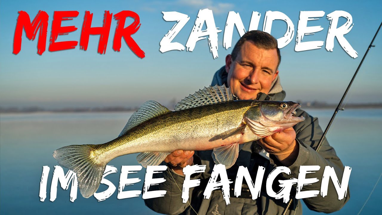 See statt Fluss - Darum fängt man jetzt im Stillwasser mehr Zander ...
