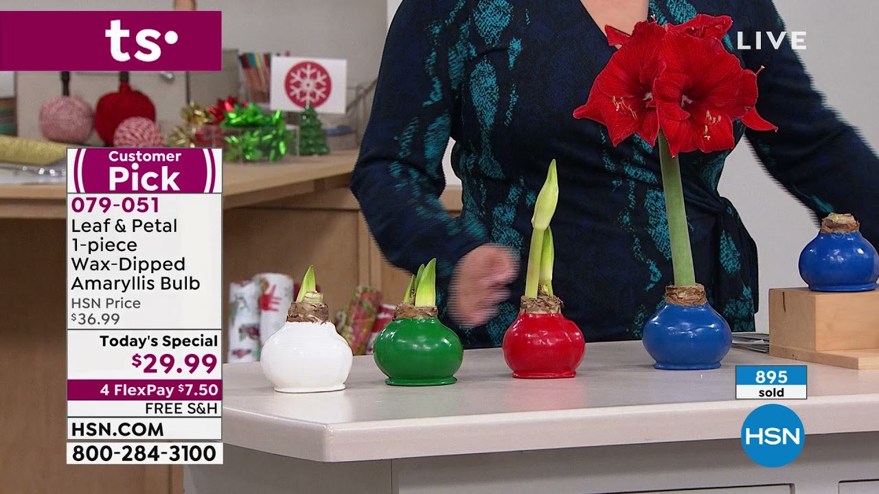 HSN | Holiday Decorating & Gift Giving 10.27.2021 - 12 AM - YouTube