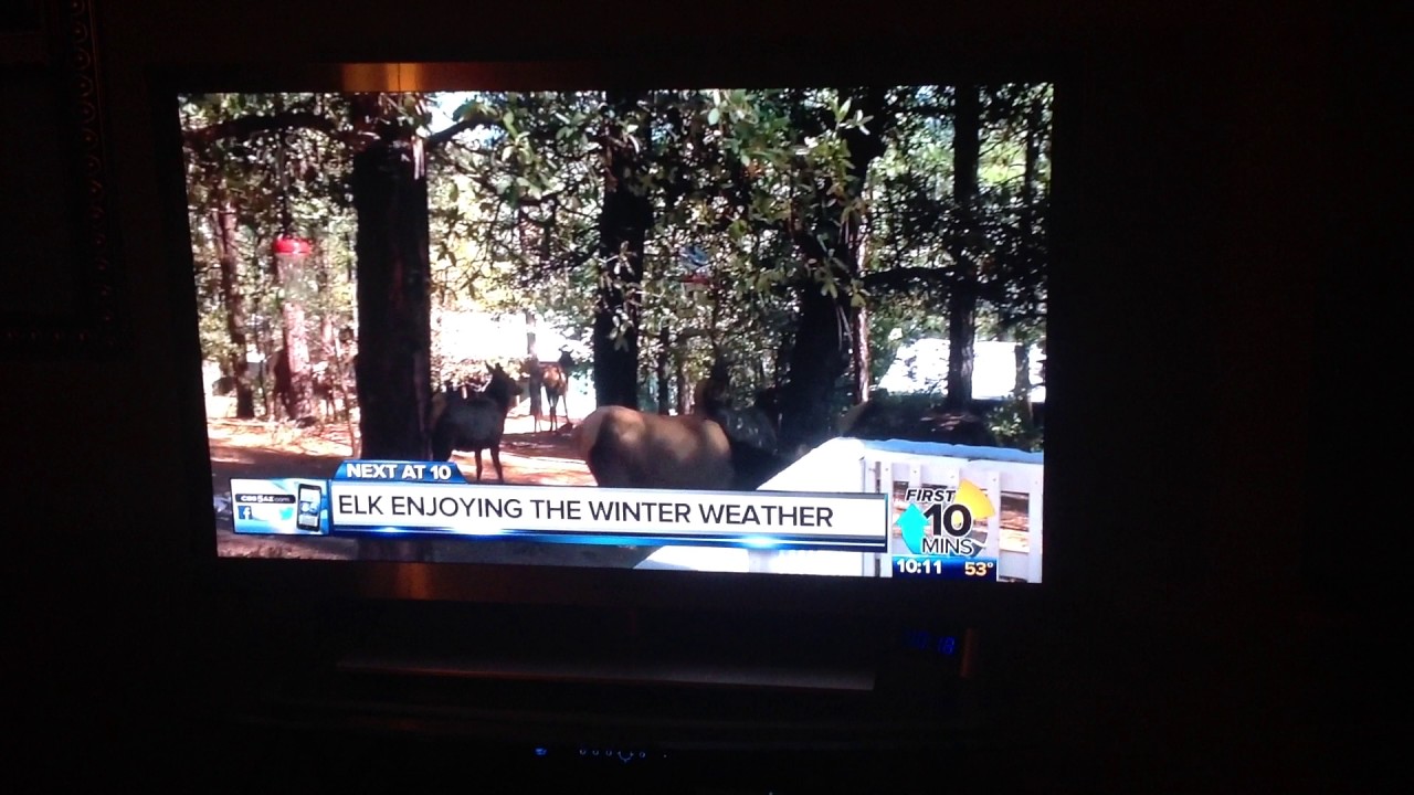 CBS AZ news part 1 - YouTube