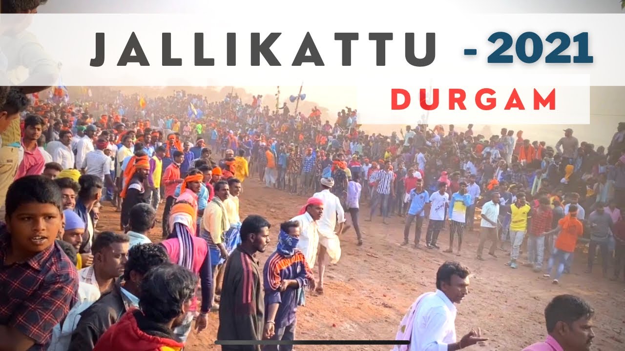 Jallikattu Festival - 🔥 TamilNadu #RV #RajV - YouTube