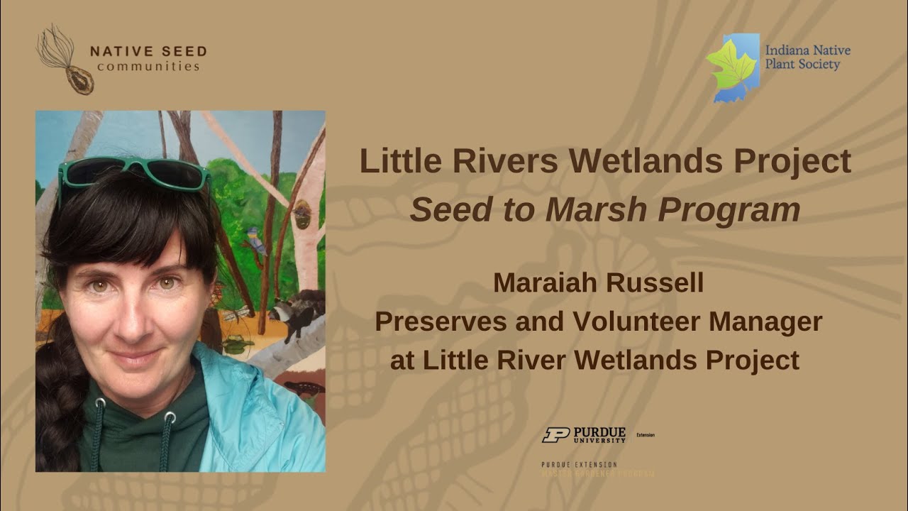 Little River Wetlands Project: Seed to Marsh Program - YouTube