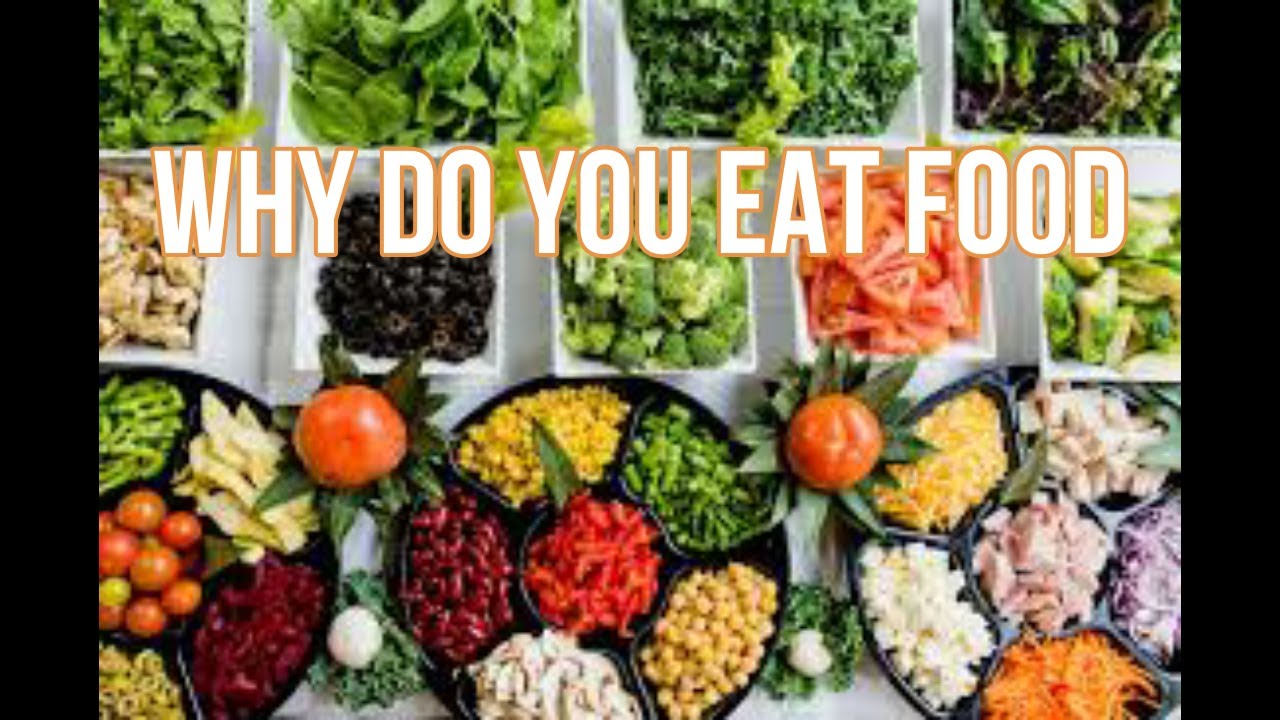 Why do you eat food? - YouTube