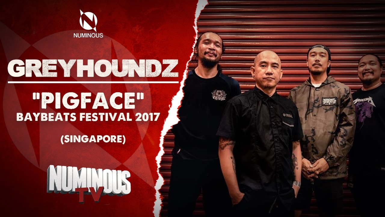 GREYHOUNDZ "Pigface" - Baybeats Festival 2017 (Singapore) - YouTube