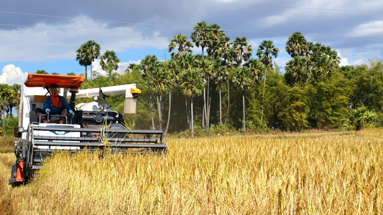 Best Combine Harvesters Operate With Speed Control | Tractor And Farmer ...
