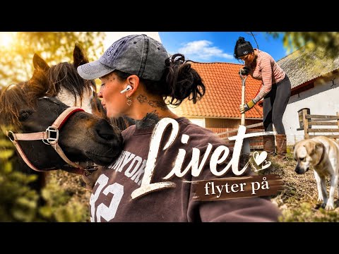 Det är dags att komma ikapp! || Vlogg