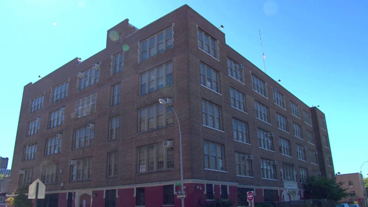 M.S. 372 The Urban Assembly School for Wildlife Conservation - YouTube