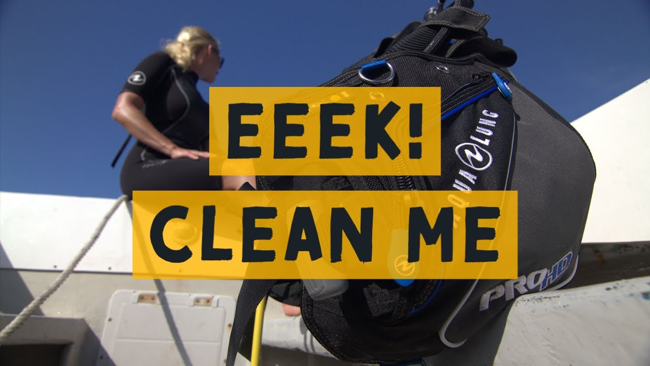 What Is The Best Way To Clean Your Scuba Diving BCD or Wing? - YouTube