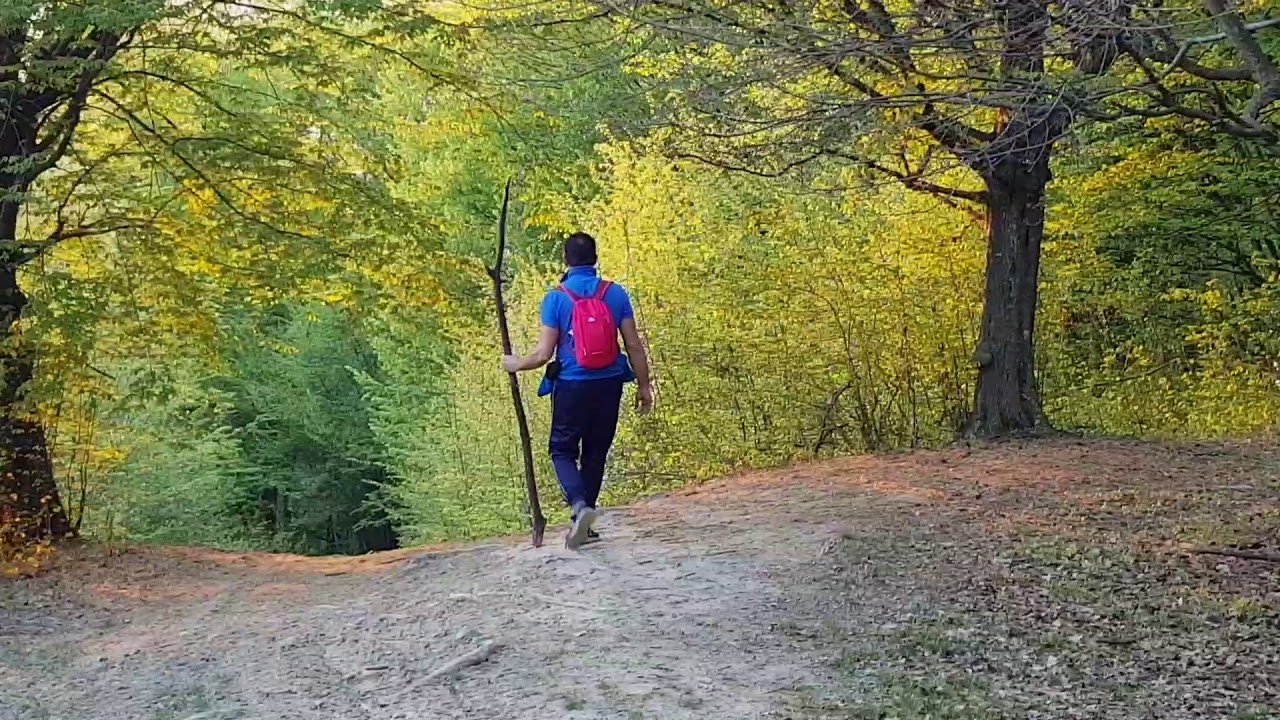 In codru verde nu se mai vede -Parodie drumetie 🎼 - YouTube