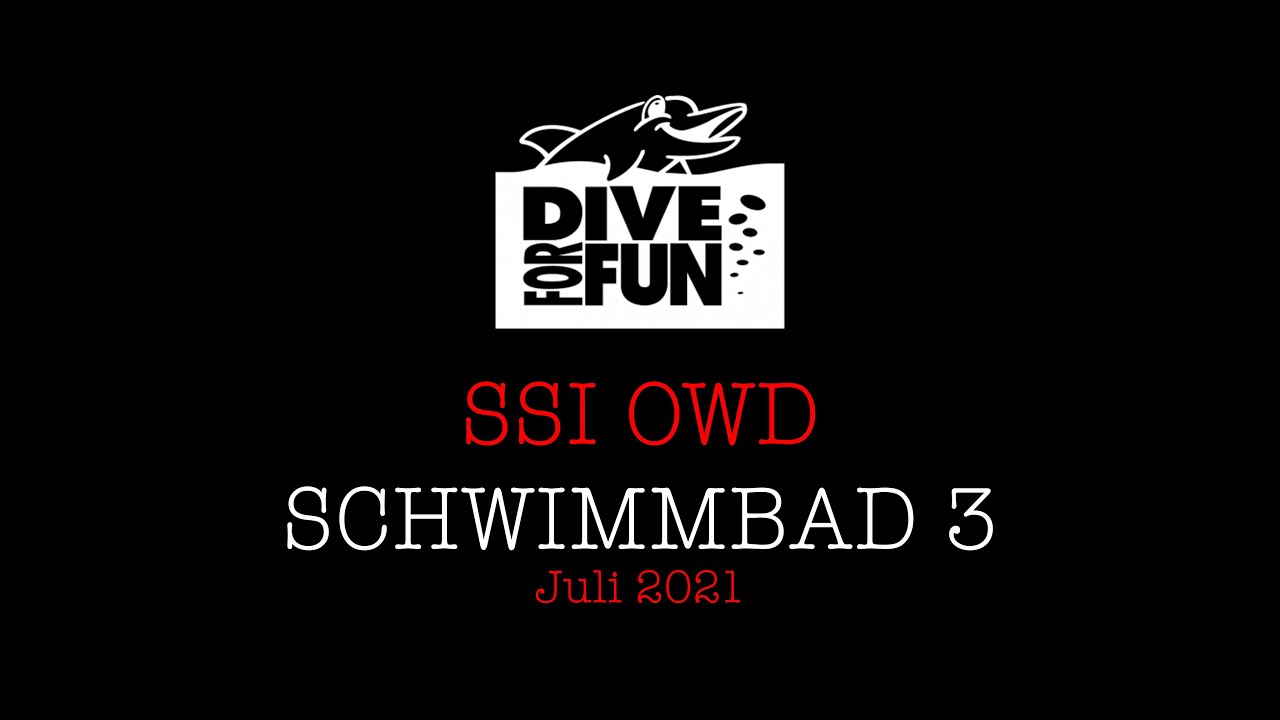 Dive For Fun SSI OWD Schwimmbad 3 Juli 2021 - YouTube