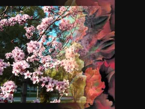 Bu Bahar - Ajda Pekkan
