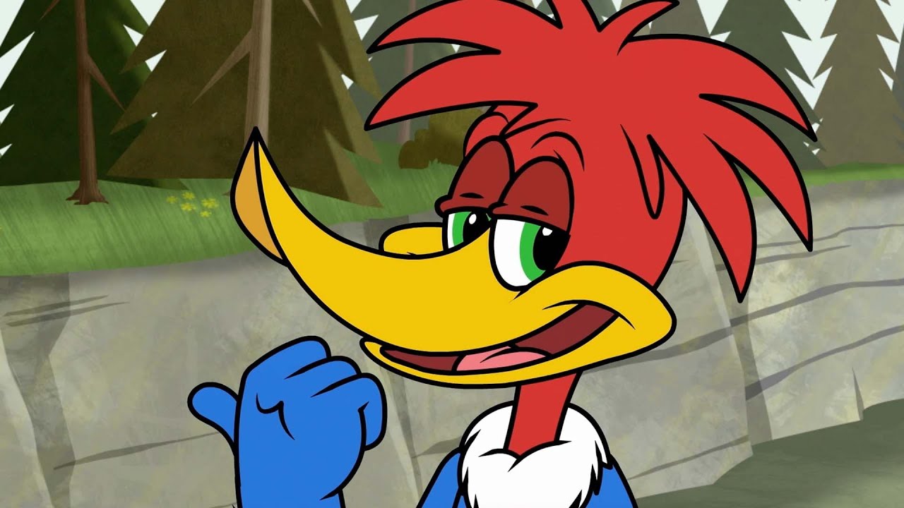 Woody learns about nature | Woody Woodpecker - YouTube