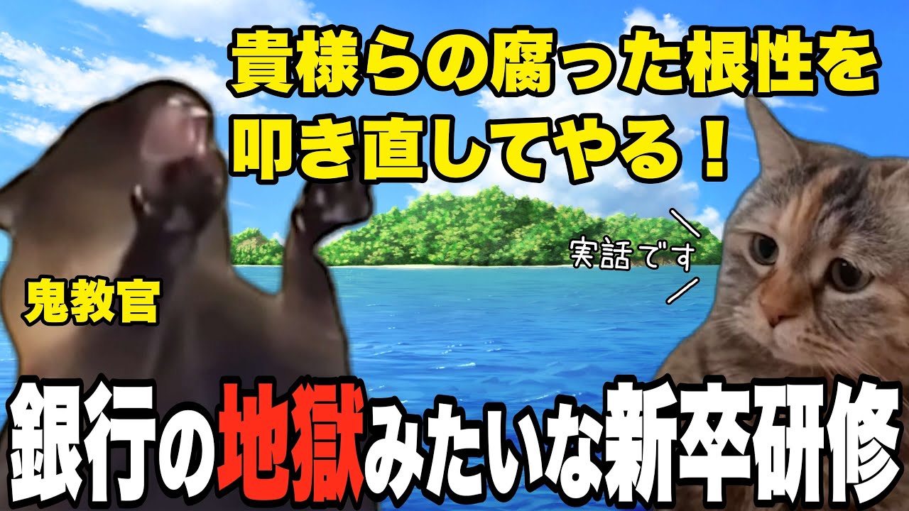 銀行員1年目の新卒研修が地獄だった【猫ミーム】 - YouTube