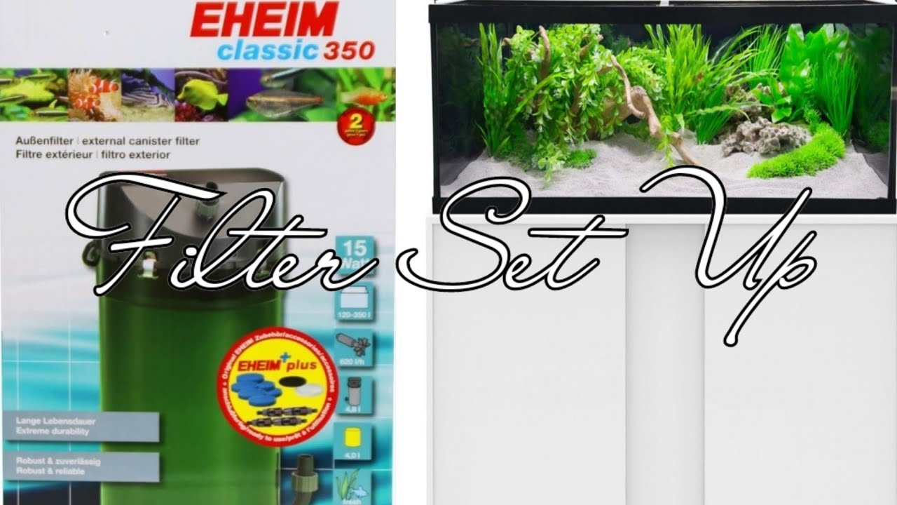 EHEIM CLASSIC 350 SET UP|TANK REVEAL - YouTube