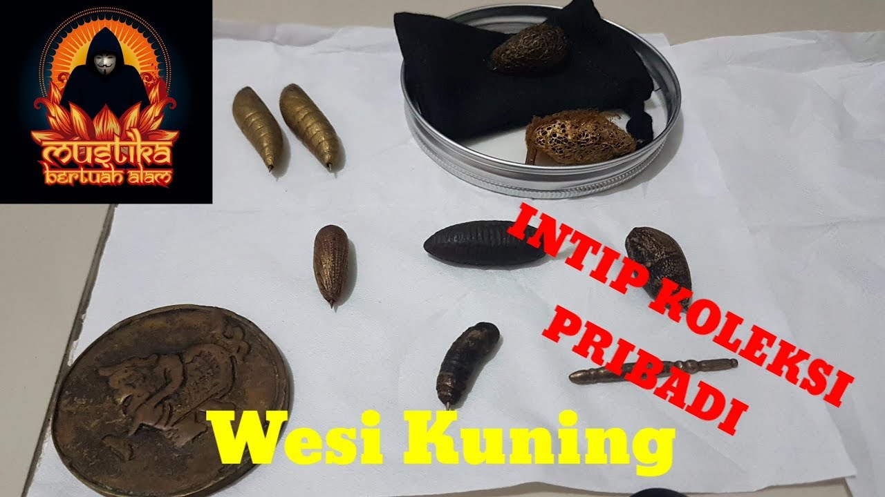 Intip koleksi pribadi wesi kuning - YouTube